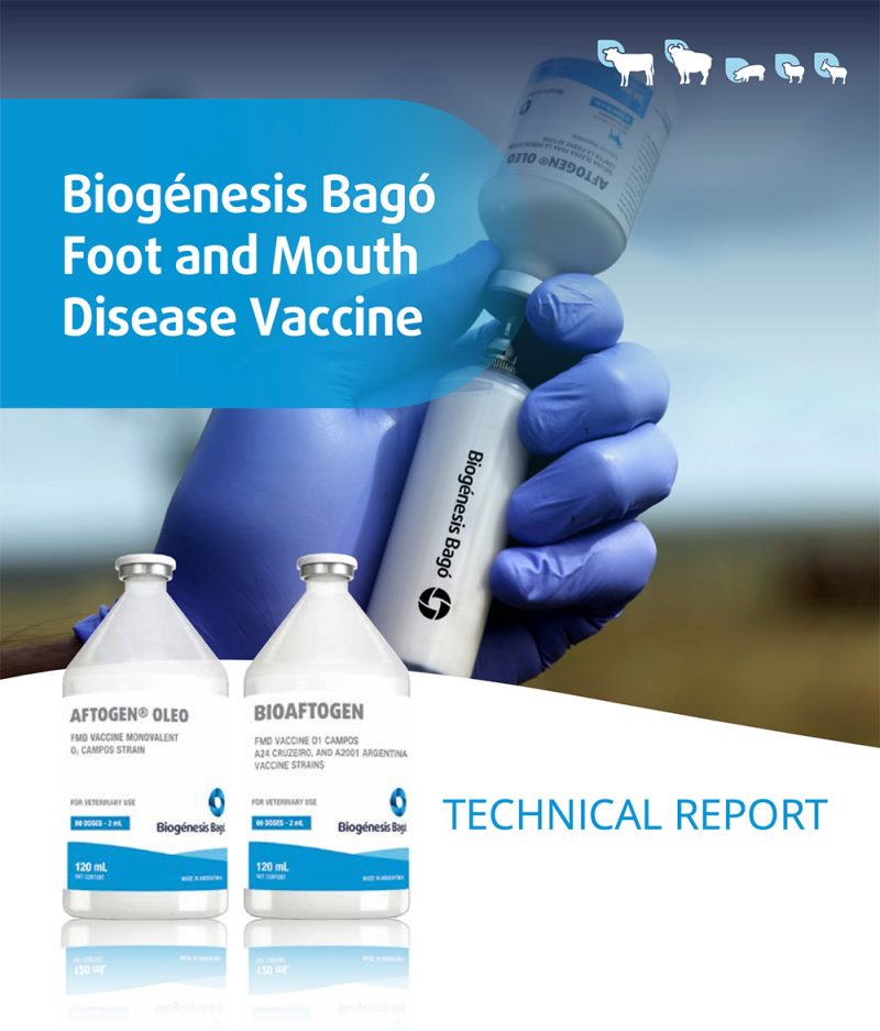 Technical Report 2022: Biogénesis Bagó. Foot and Mouth Disease Vaccine ...