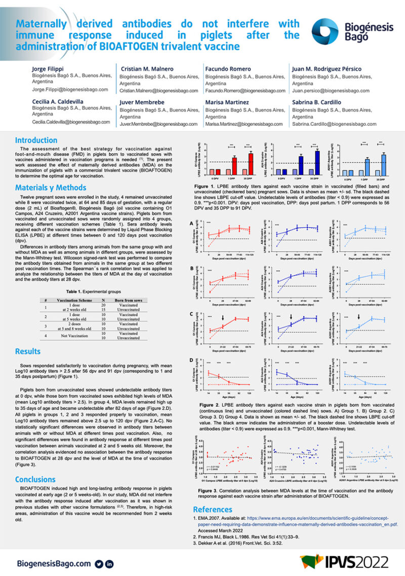 Các kháng thể ở lợn con sau khi tiêm vắc xin BIOAFTOGEN hóa trị ba ...
